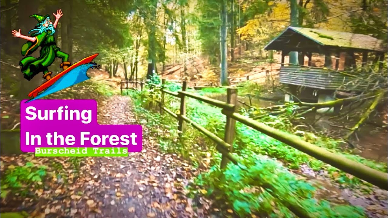 Surfing in the forest - Burscheid Trails - YouTube