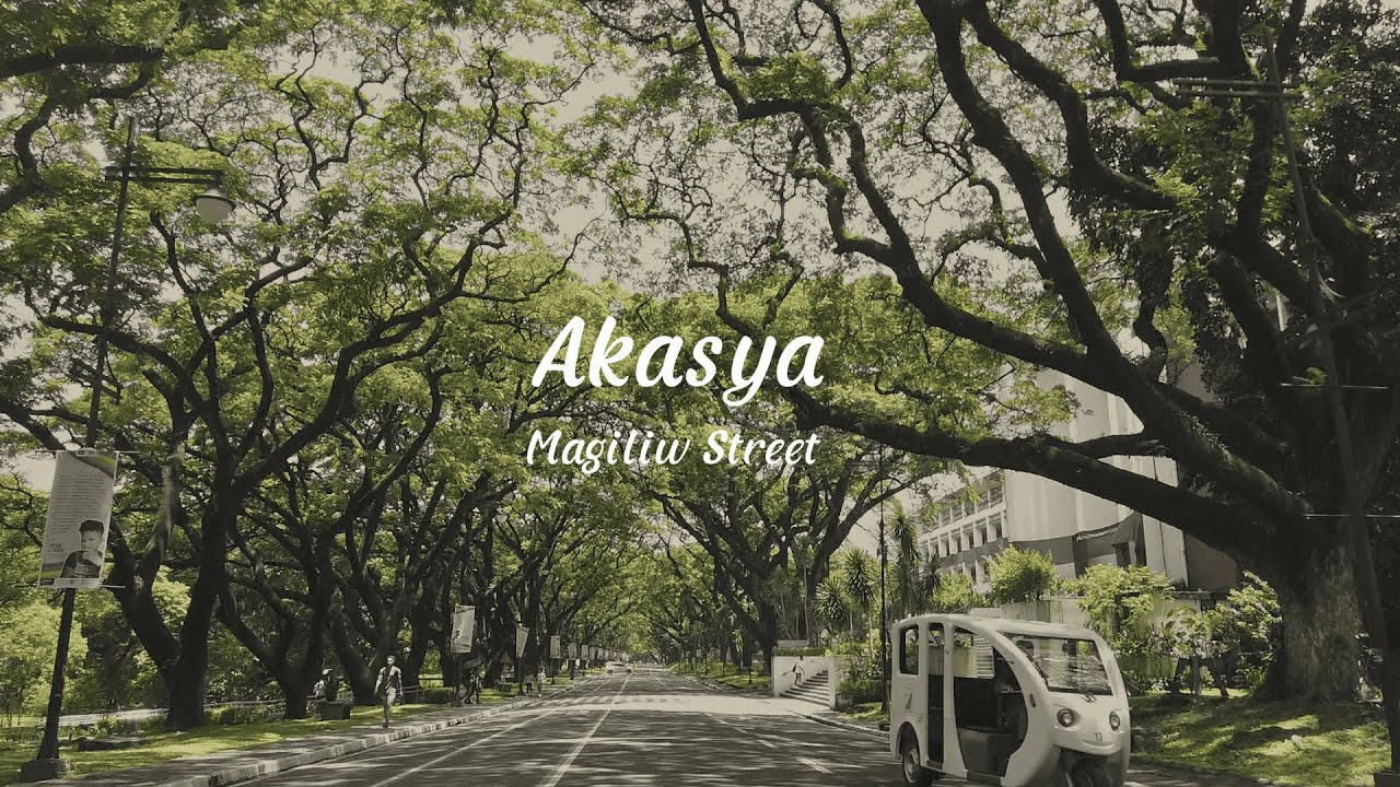 Magiliw Street - Akasya (Official Lyric Visualizer) - YouTube Music