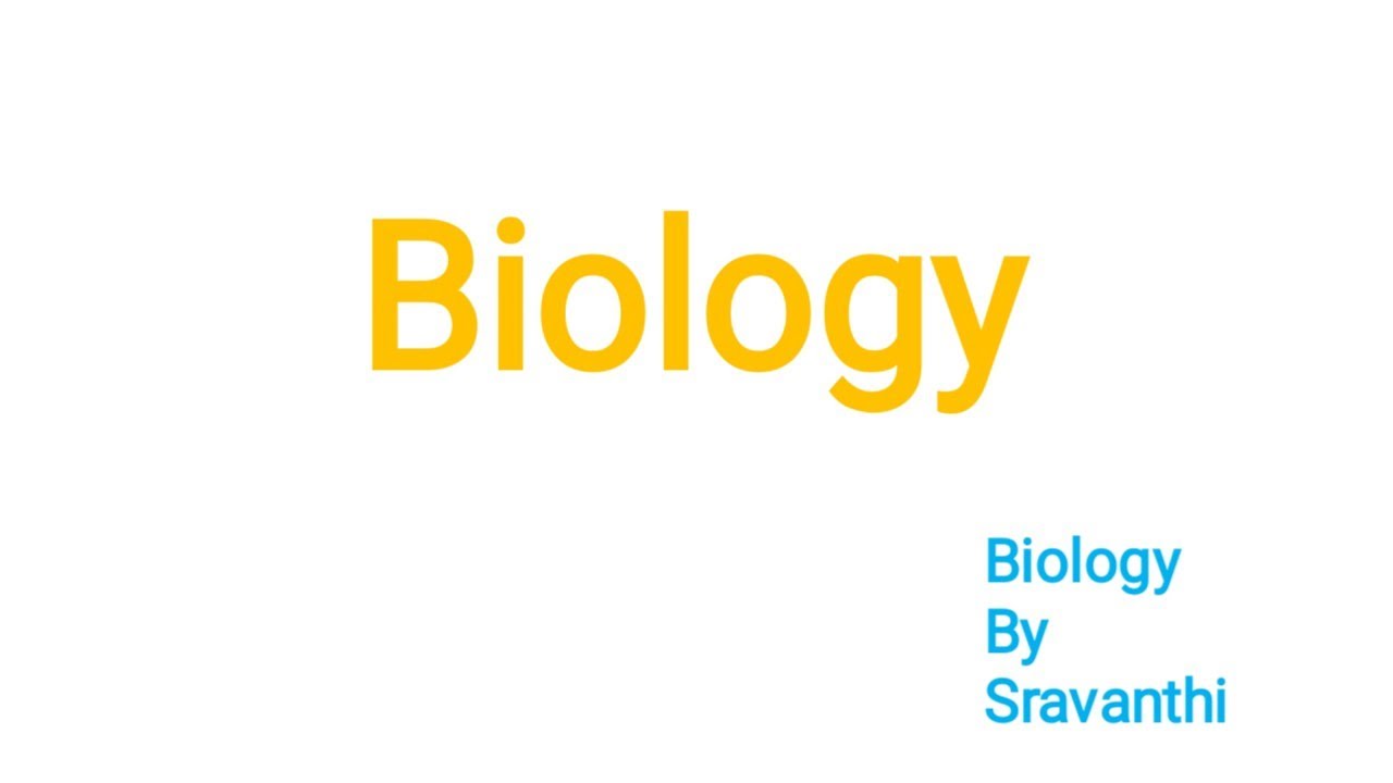 Biology Number Of Bones In Human Body YouTube Biology Number Of Bones In Human Body YouTube
