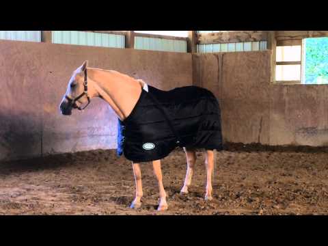 Sentinel Quilt Stable Blanket