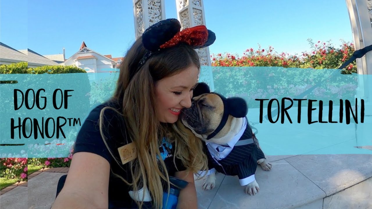 This Frenchie Heads To Disney World For The Ultimate FairyTail Wedding ...