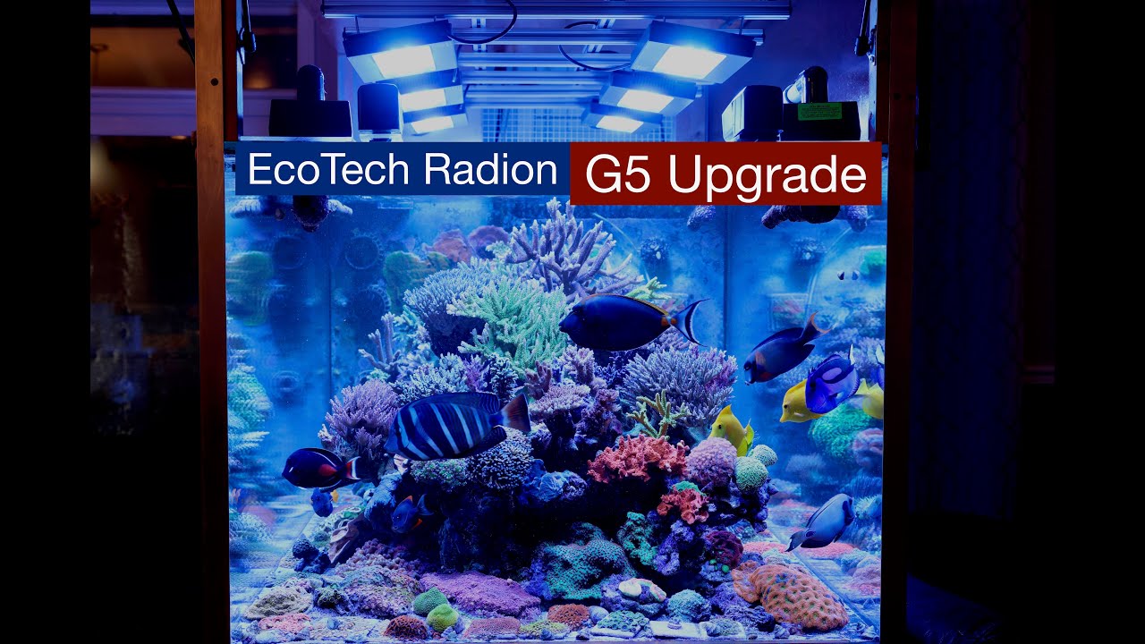 Upgrading to EcoTech Radions Gen 5 - YouTube
