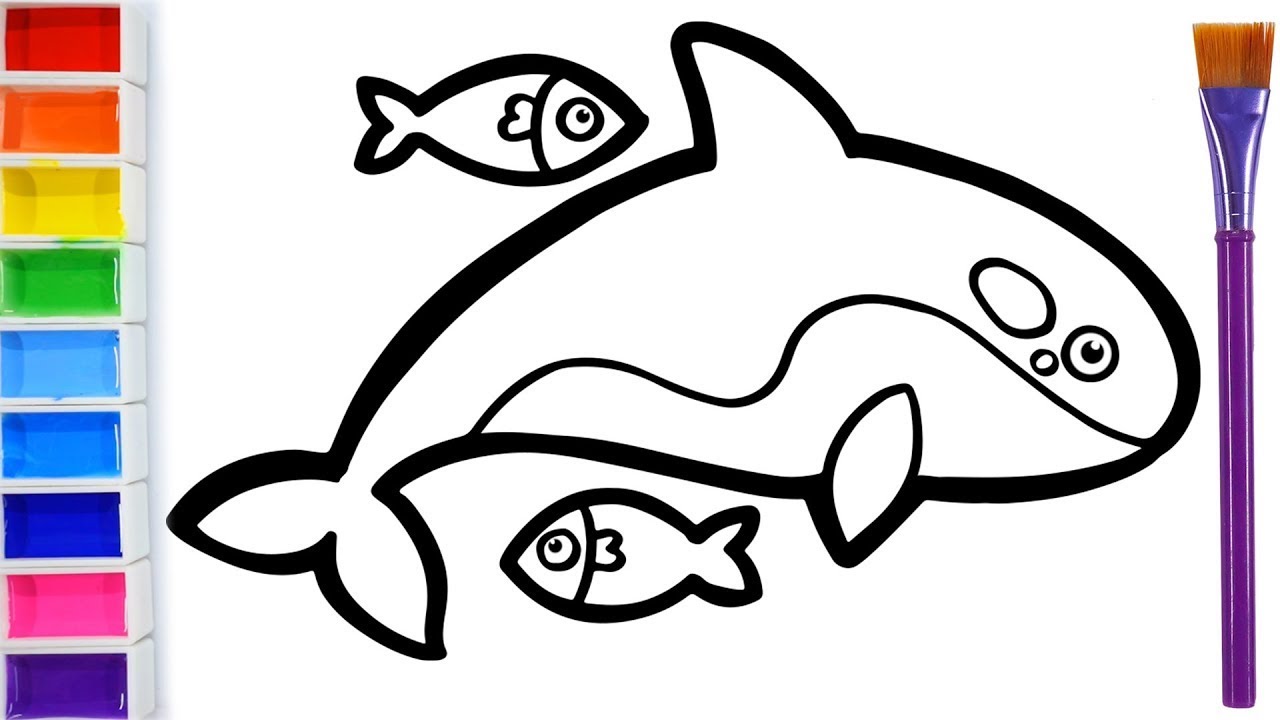 Orca drawing, painting and colouring for kids, toodles ideas for kids ...