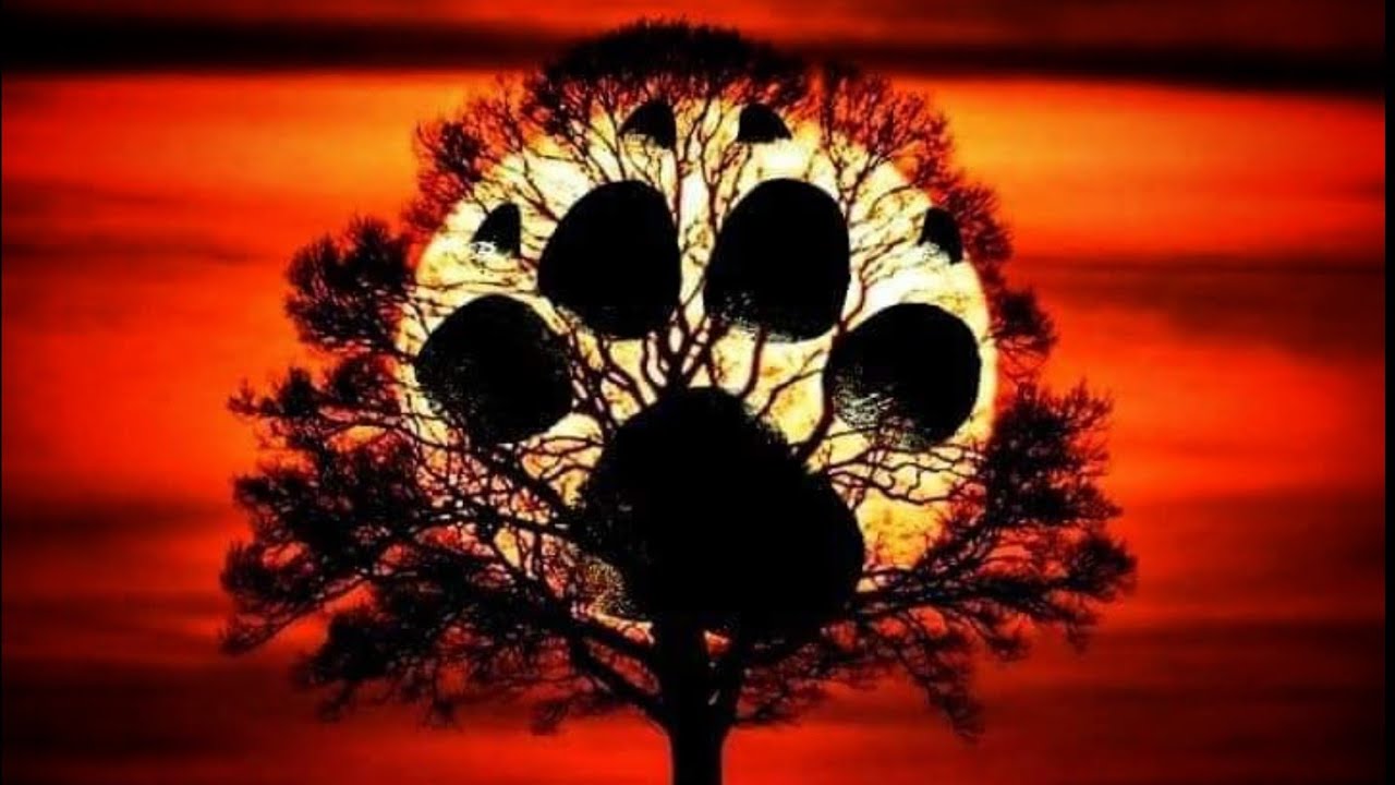 NardDog The Rapper - Please Ya Right [ Official Audio - YouTube