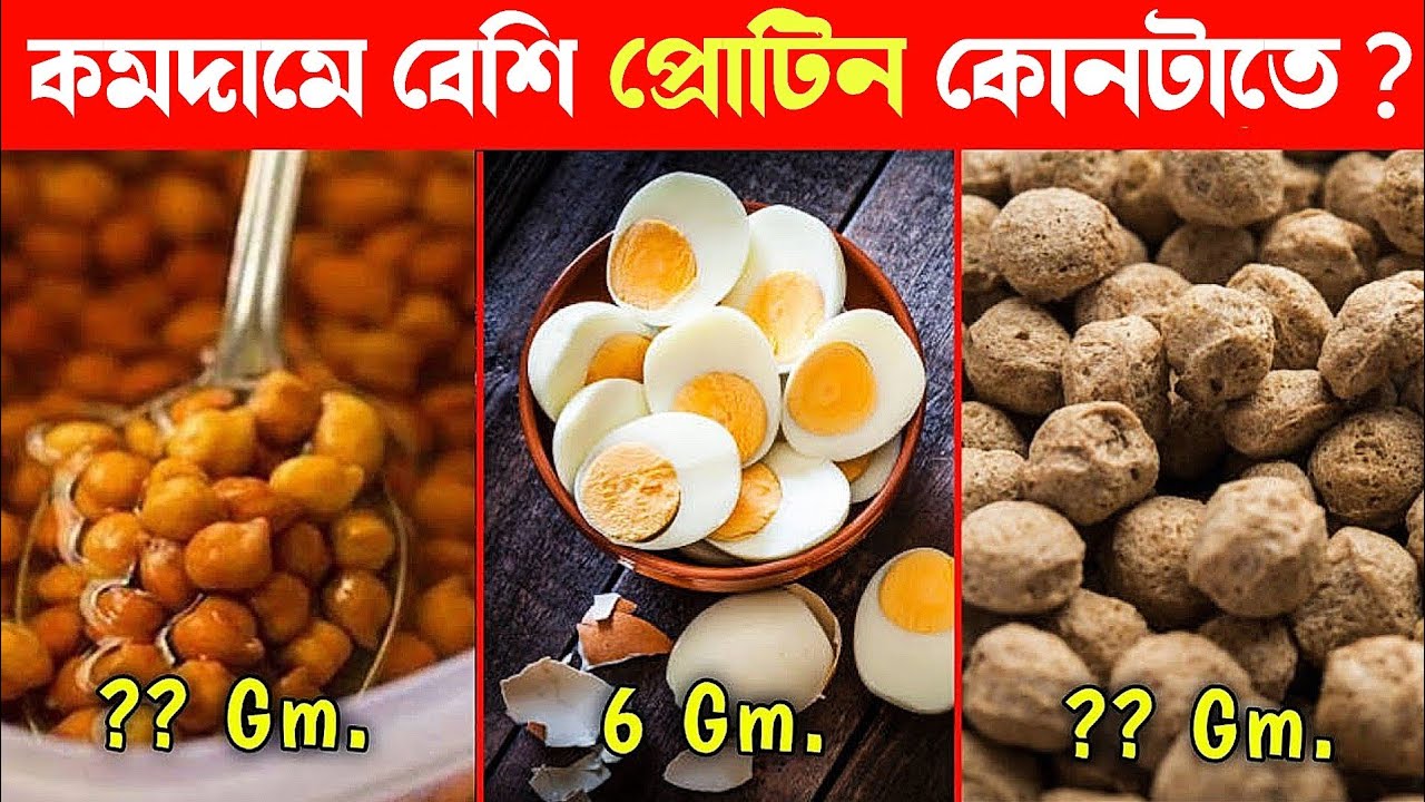 সবচেয় বেশী Protine কোন খাবারে High protein Foods | Bodybuilding food ...