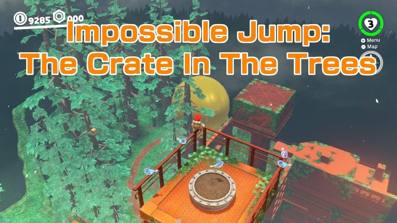 IMPOSSIBLE JUMP - Wooded Kingdom Crate In The Trees | SUPER MARIO ...
