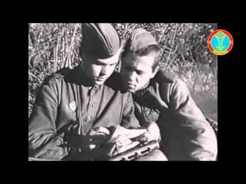 Воспоминания ветерана ВОВ Екатерины Плужниковой