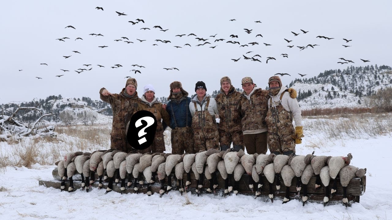 We Shot a Rare Goose (40 BIRDS) - YouTube