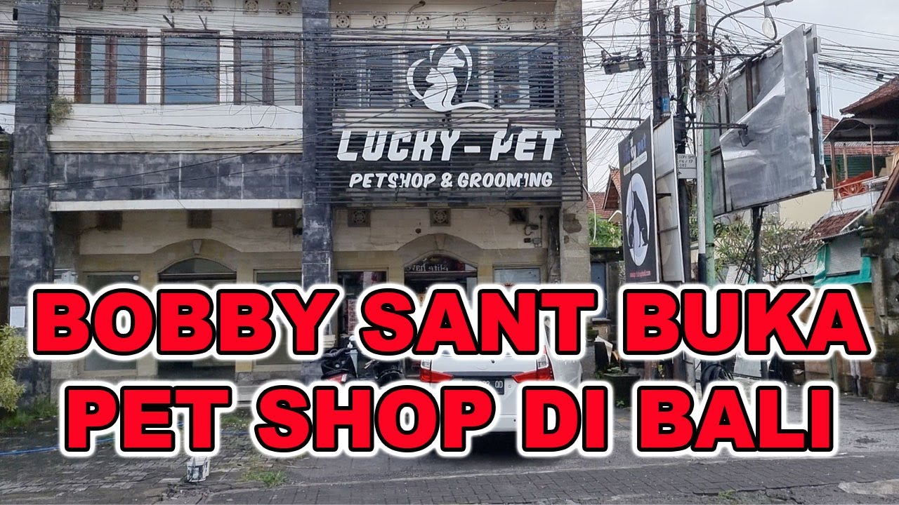 BOBBY SANT BUKA PET SHOP DI BALI - YouTube