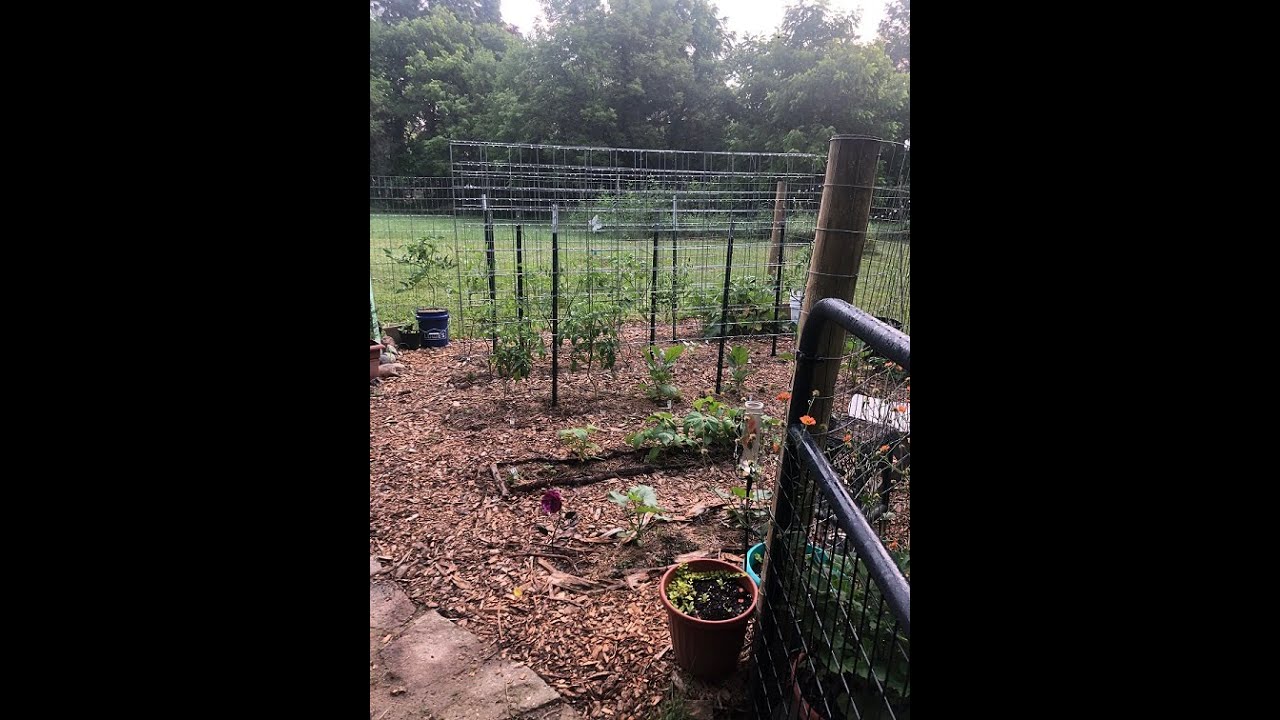 All-New 600 SQ. FOOT Garden Walkthru! - YouTube