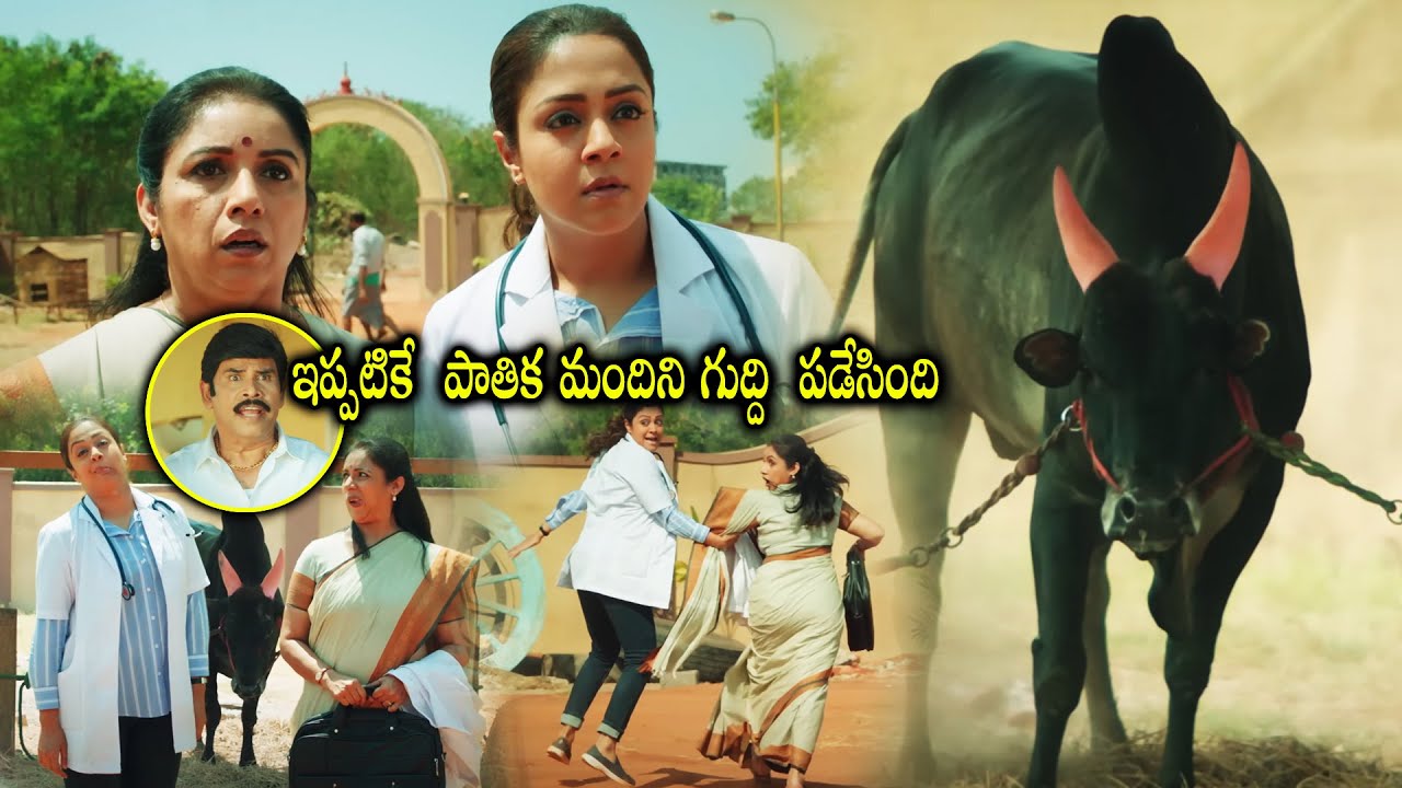 Jyothika, Revathi Menon And Bull Comedy Scene || Jackpot Movie Scenes ...