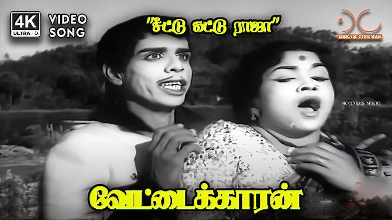 Seettu Kattu Raja - Vettaikaran | Nagesh, Manorama | AL Ragavan, LR ...