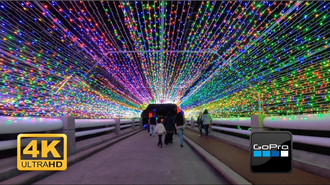 Check Out the Stunning Houston Lights 😍: Moody Garden's Spectacular ...