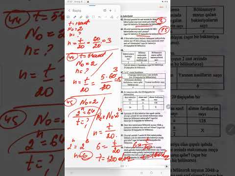 Dim Bakteriya test 36-65
