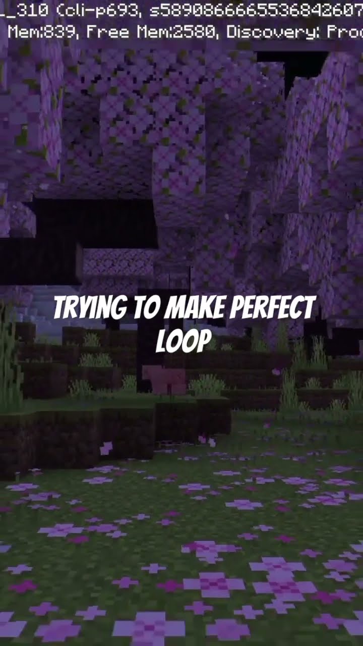 #loop #minecraft #perfect #fyp #shorts #viral #youtubeshorts #please 😅 ...