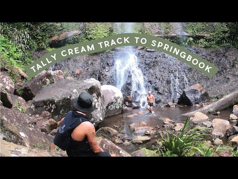 27Km TRAIL ADVENTURE // Tally Cream Track to Springbrook - YouTube