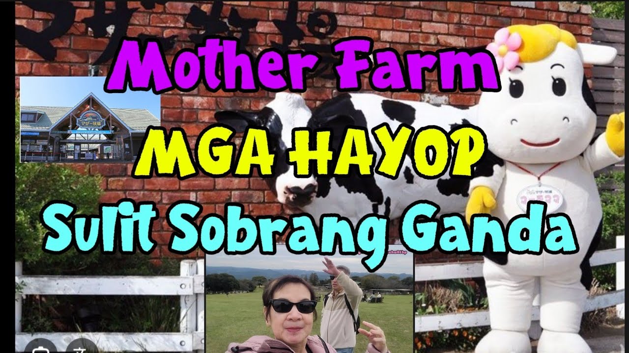 🌸 Mother Farm Japan — A Paradise You Must See! - YouTube
