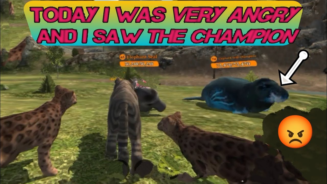 The tiger game - Playing Northern Taiga Video #thetigergame #gameplay # ...