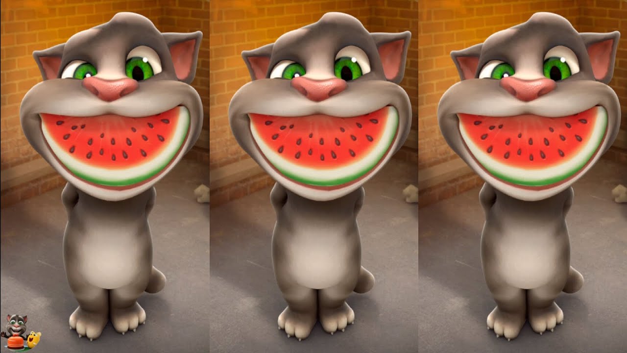Talking Tom Cat Funny Reactions Gameplay #102 - YouTube