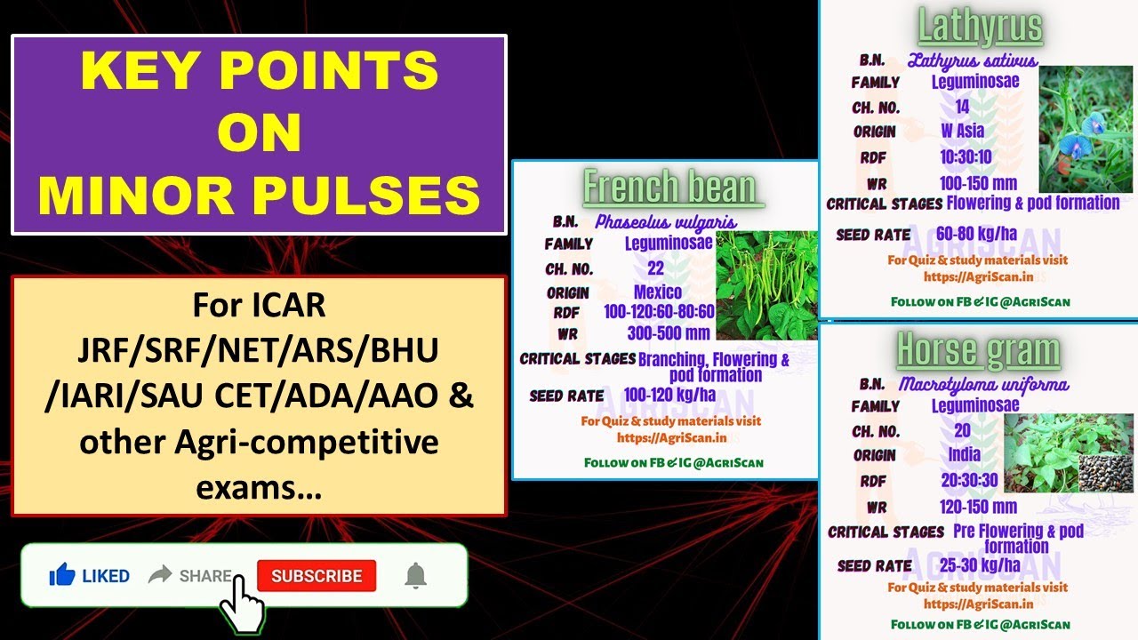 Key points on Minor pulses || Field crops || Agronomy || ICAR JRF/SRF ...