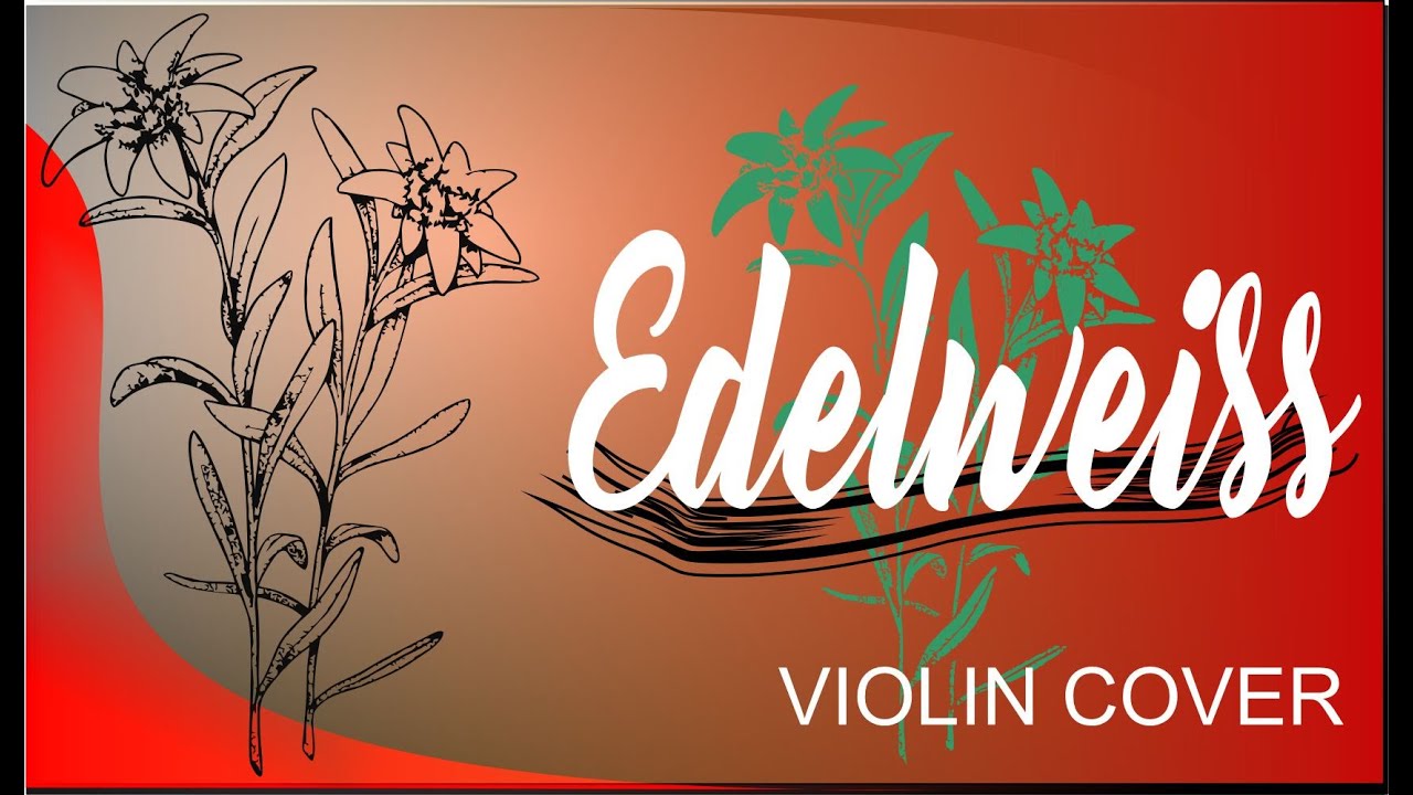 EDELWEISS - VIOLIN COVER - YouTube