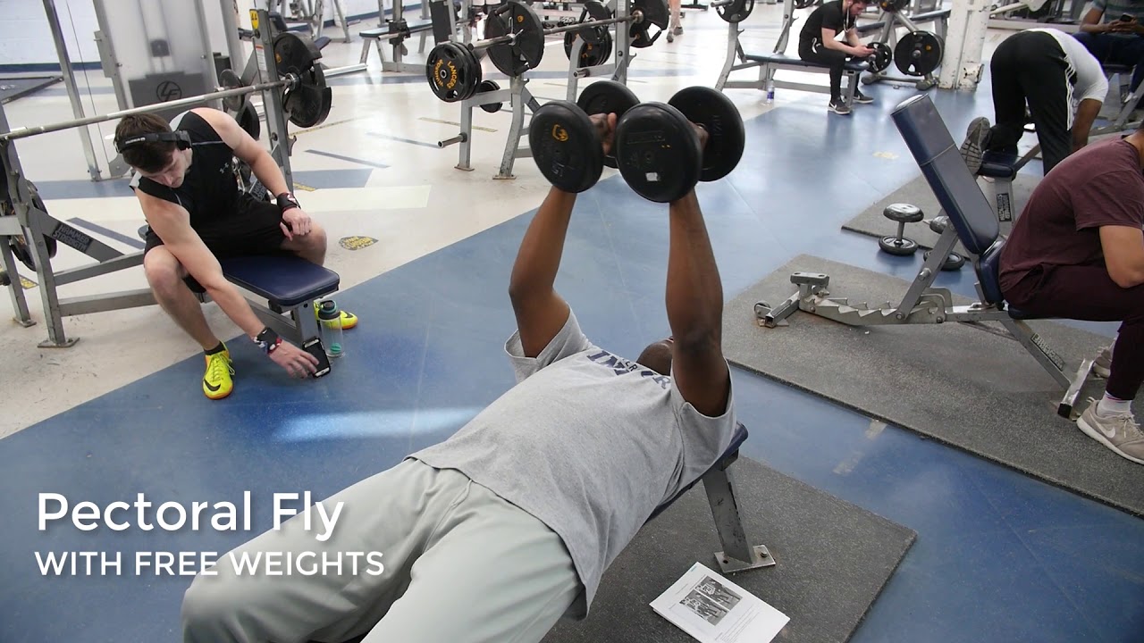 Pectoral Fly - YouTube