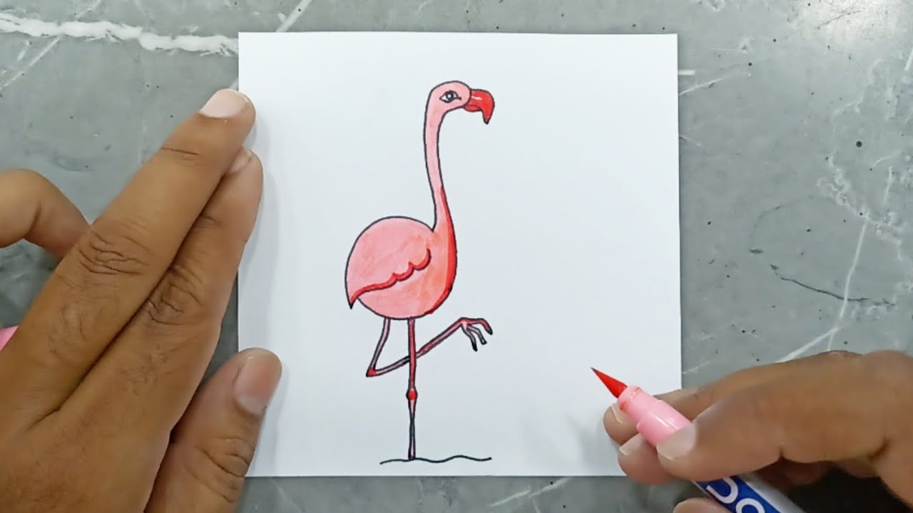 flamingo drawing / flamingo drawing for step by step / flamingo drawing ...
