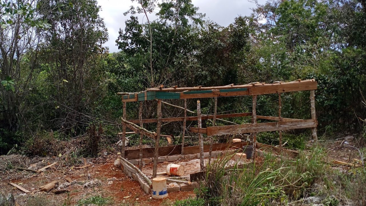 TRYING TO BUILD A CHICKEN COOB - YouTube