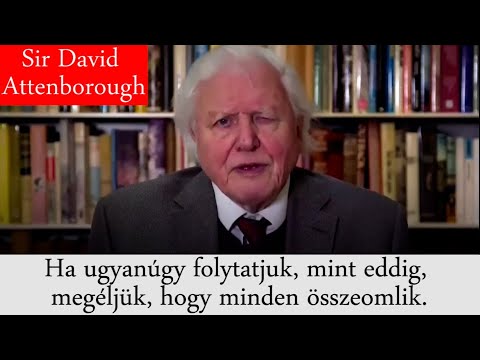 Sir David Attenborough a klímaváltozásról az ENSZ Biztonsági Tanácsa ...