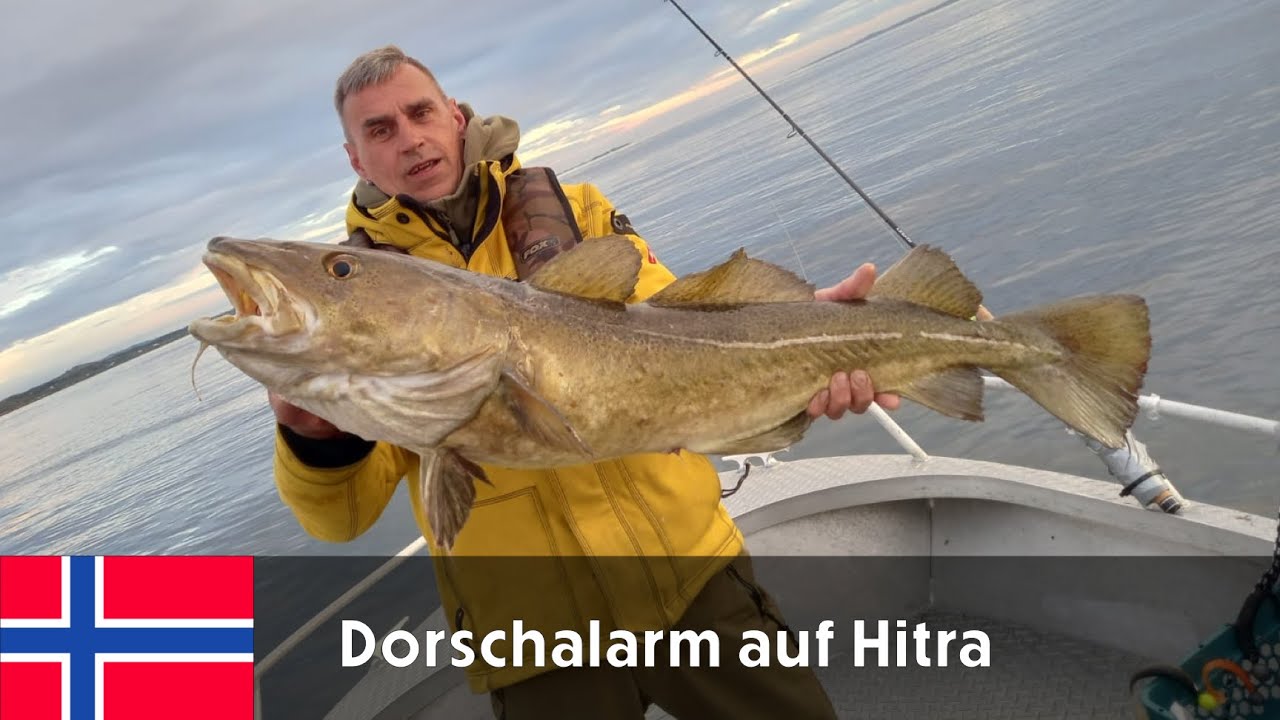Angeln Auf Hitra Norwegen