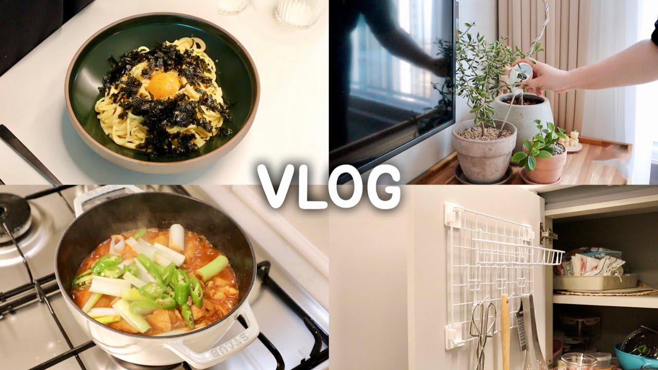 ๐ก20๋์ฃผ๋ถvlog ์คํํ๋ ๊ฐ๋ค๊ฐ ์ง๋ฐฅ ํด๋จน๋ ํ๋ฃจ ์ผ์ ๋ธ์ด๋ก๊ทธ๐ค ๋ช
๋๋ฒํฐํ์คํ ์คํํ๋ ๋๋ค์ด ์์ด๋ญ๋ณถ์ํ ํ๋ถ์ฅ