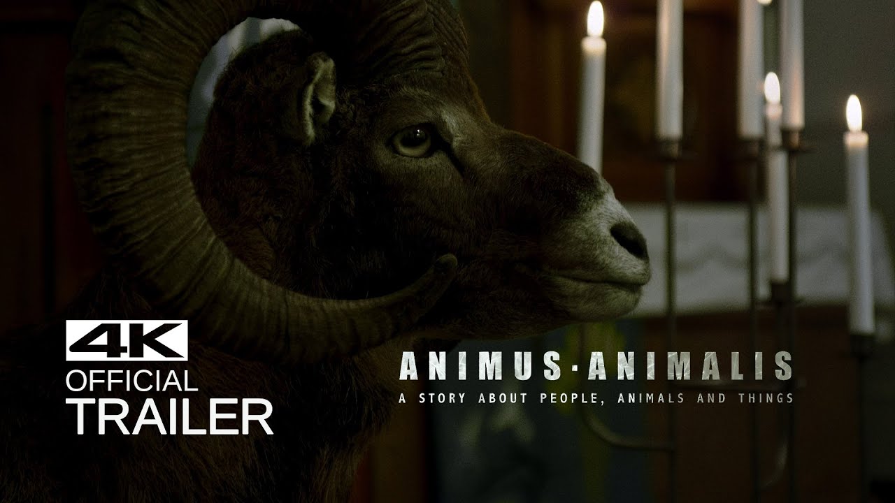 ANIMUS ANIMALIS (A STORY ABOUT PEOPLE, ANIMALS AND THINGS) Official ...
