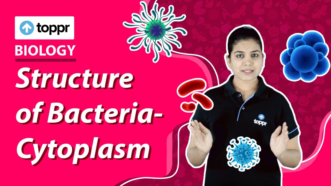 Structure of Bacteria-Cytoplasm | Biological classification | Class 11 ...