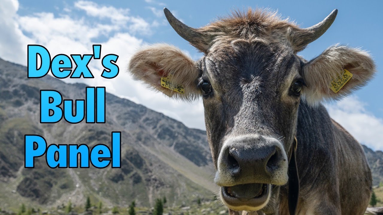 Dex's Bull Panel [Monday, September 20, 2021] - YouTube