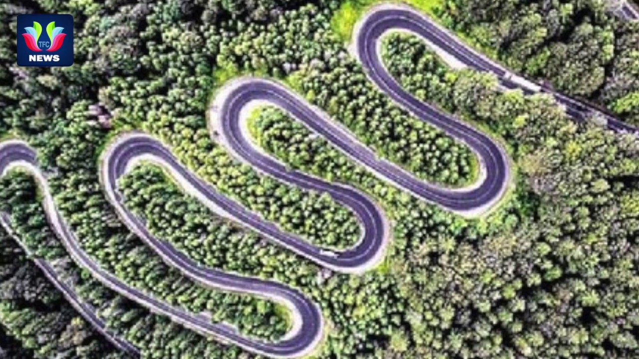 Snake Road | Transylvanian - The Most Beautiful Road in Romania | TFC ...