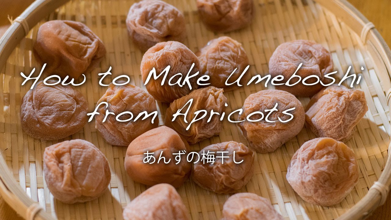 How to Make Apricot Umeboshi - YouTube