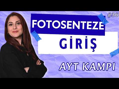 Fotosenteze Giriş #36 - AYT 2026