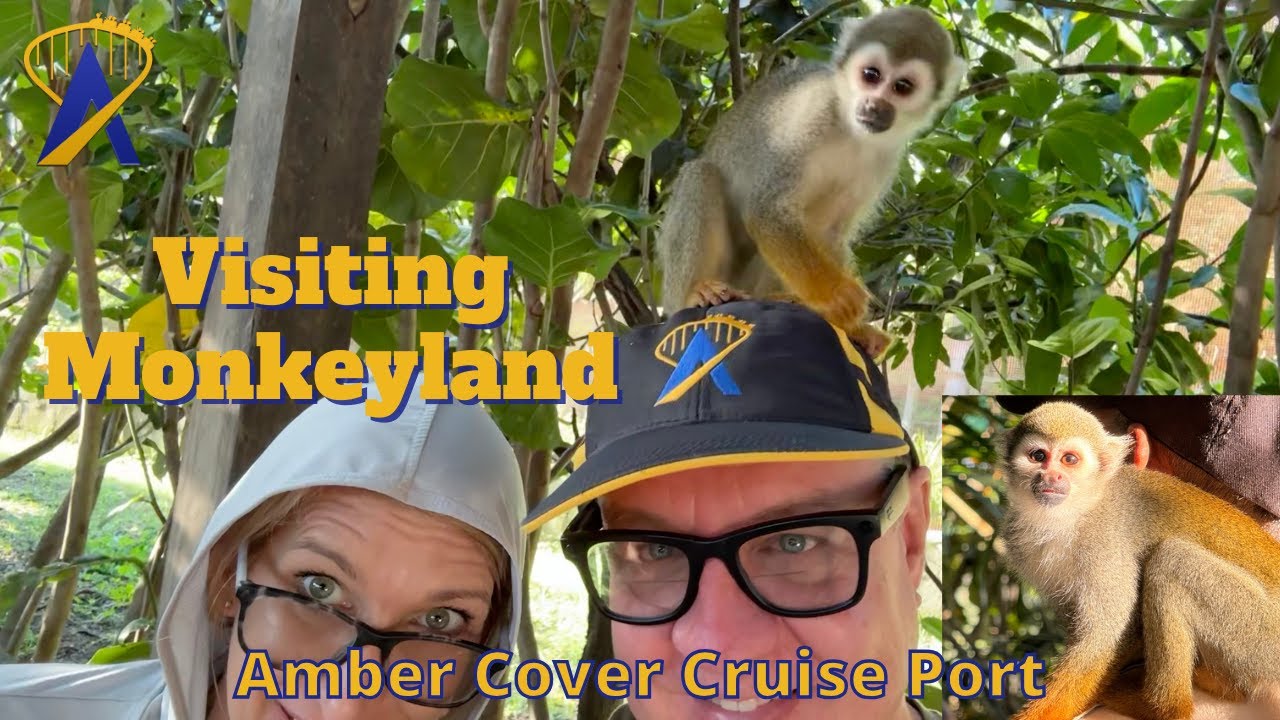 Monkeyland Excursion at Amber Cove Cruise Port - YouTube