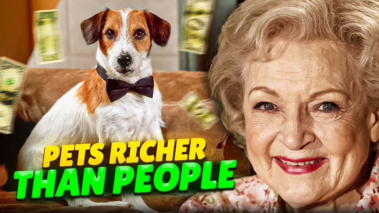 The World’s Wealthiest Pets: These Animals Have More Money Than Most ...