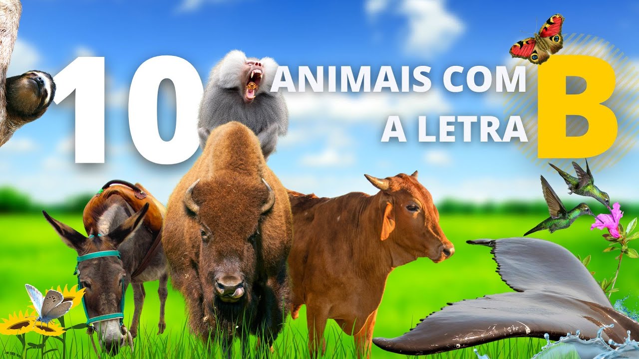 Animais Que Comecam Com A Letra B - FDPLEARN