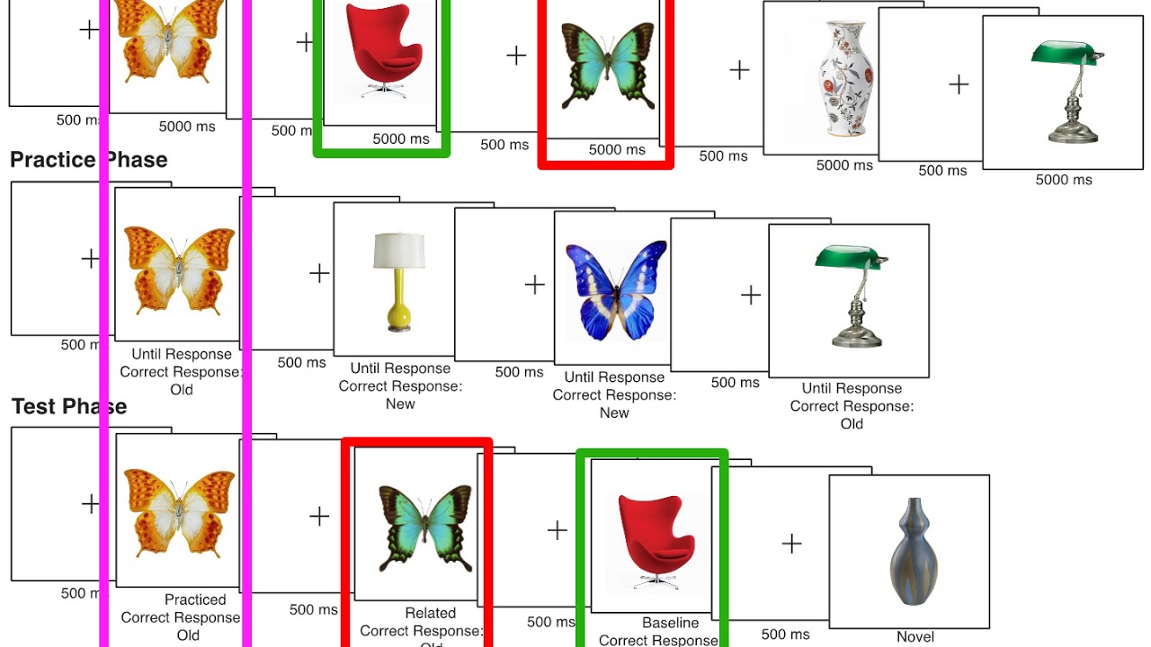 Awareness Project Video - YouTube