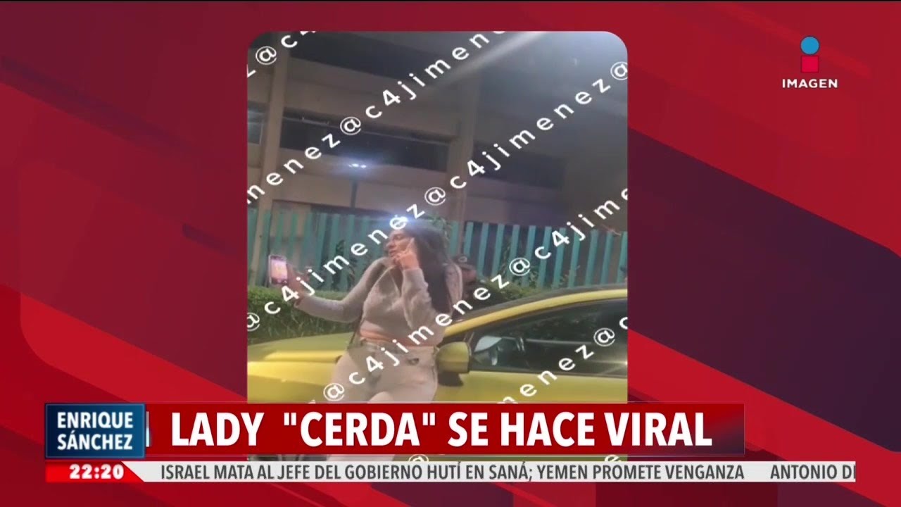 “Lady cerda”, así apodaron a una mujer que insultó y humilló a un ...