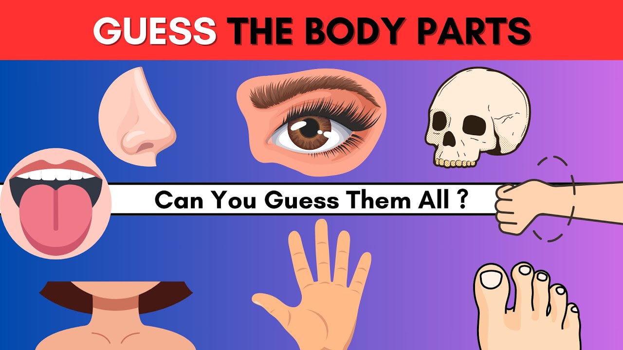 Guess the Body Parts | English Quiz | Body Parts Vocabulary - YouTube