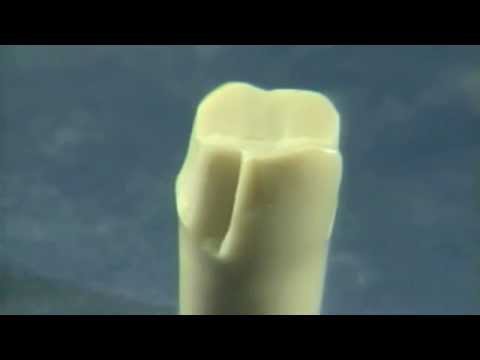 Seven Eighths Crown - YouTube