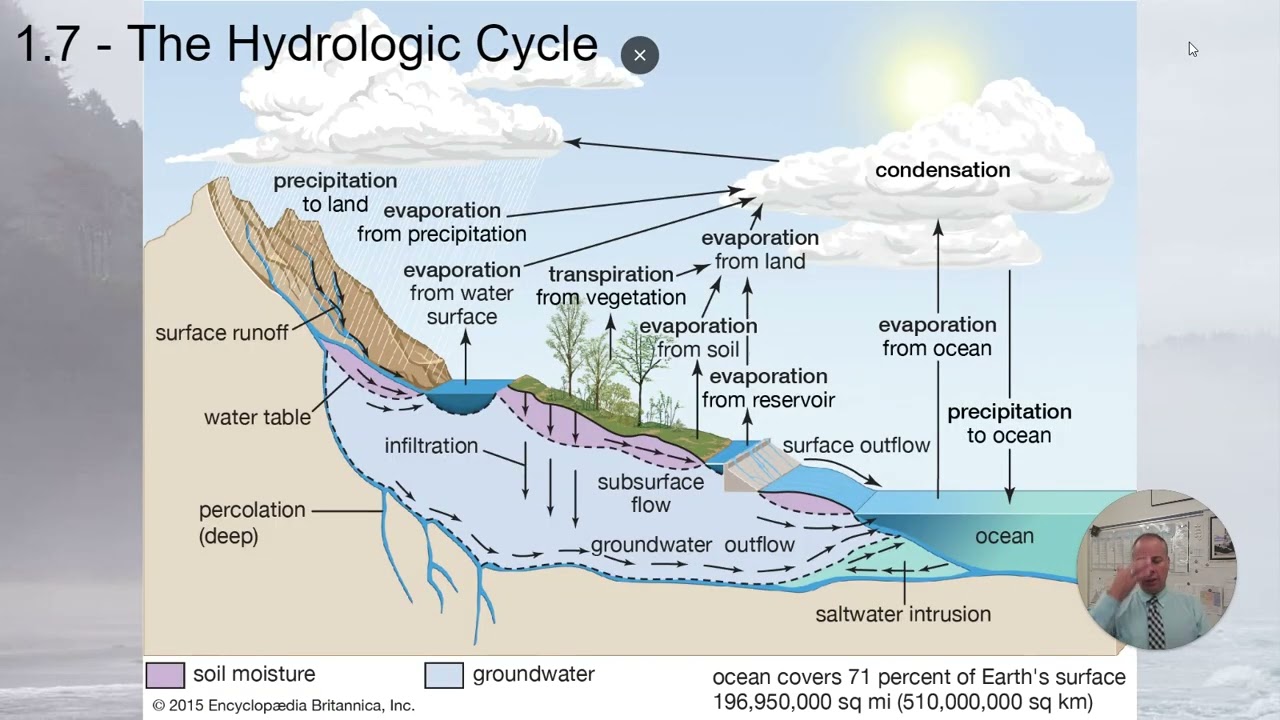 Hydrologic Cycle Apes Diagram