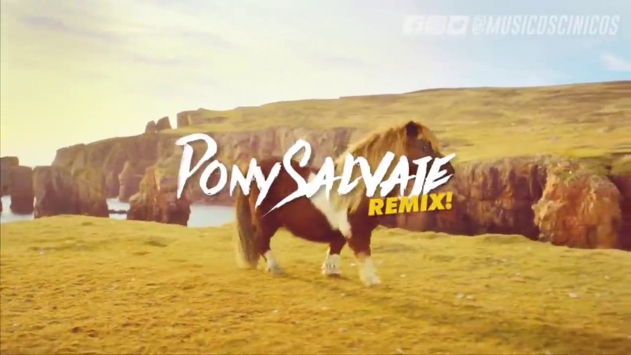 Pony salvaje - YouTube