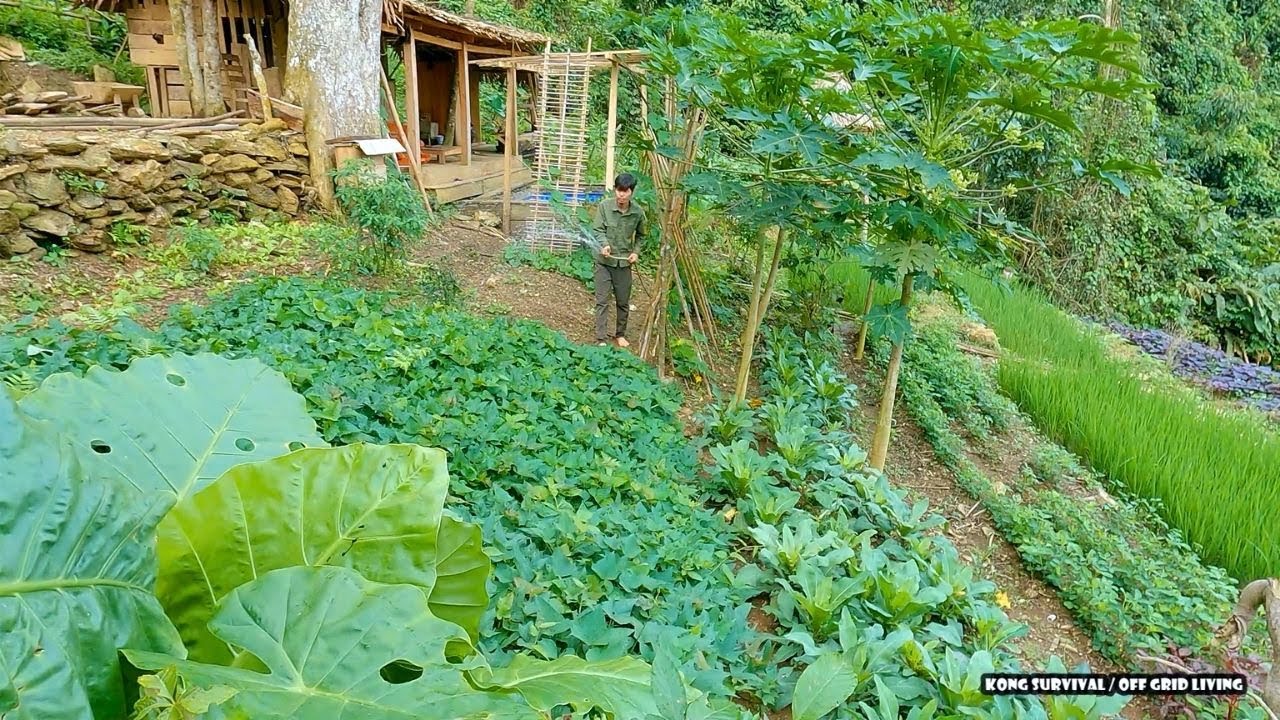 Weeding the cassava garden, Harvesting honey, repairing the water tank ...
