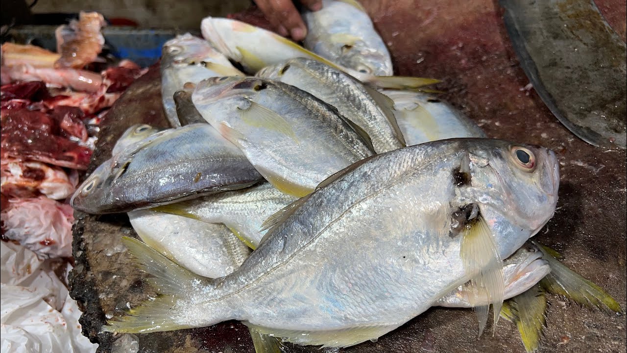 Amazing parva fish cutting in Ms fish center || fish cutting in Indore ...