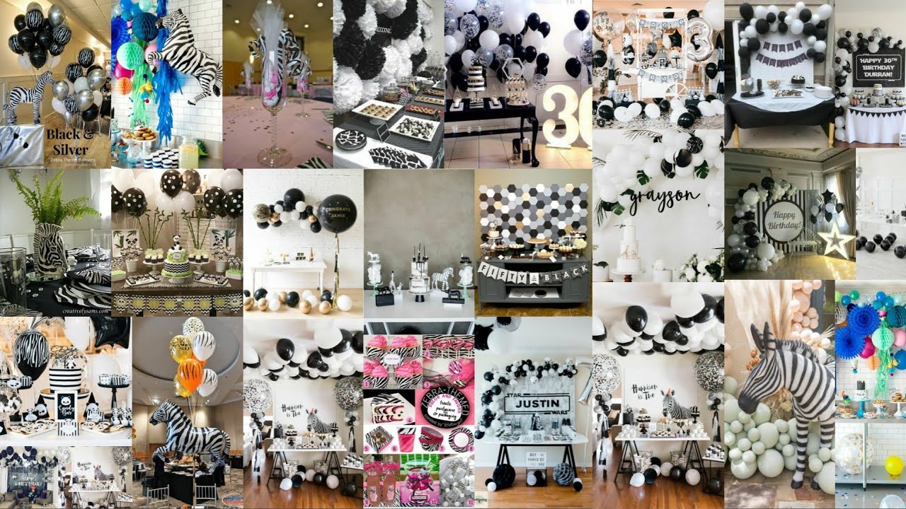 Zebra birthday themes / beautiful and very nice themes - YouTube