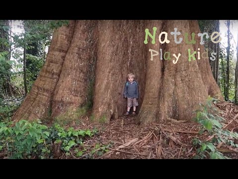 Nature Play Kids: Exploring the Newstead Walkway with giant fallen ...
